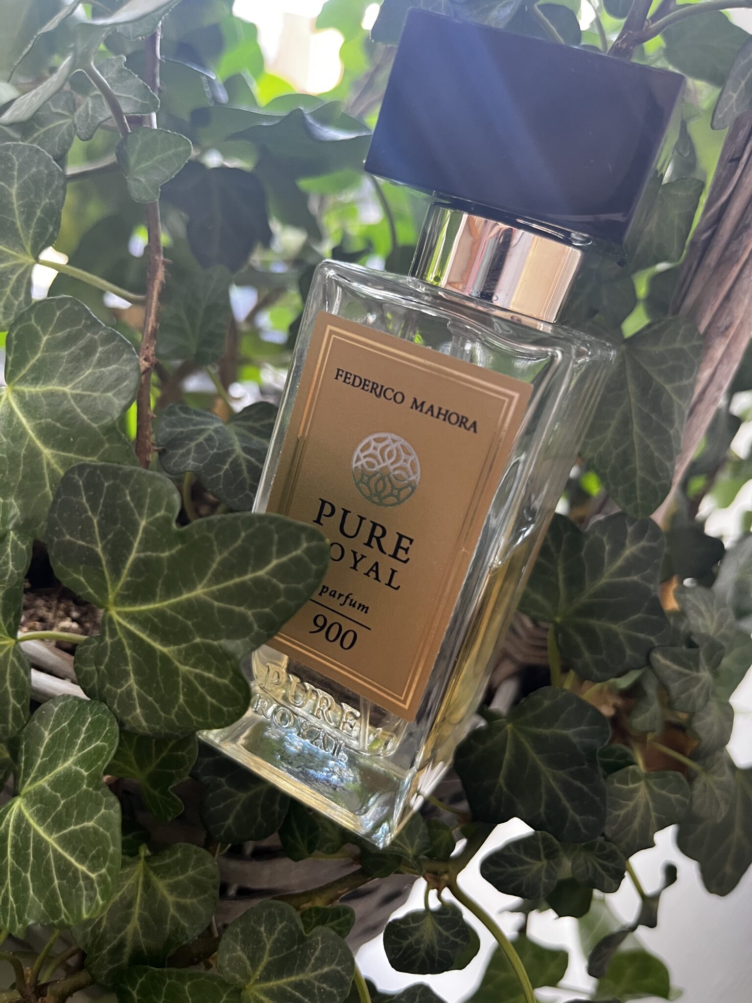 FM Fragrance List 2023 - Affordable Fragrances