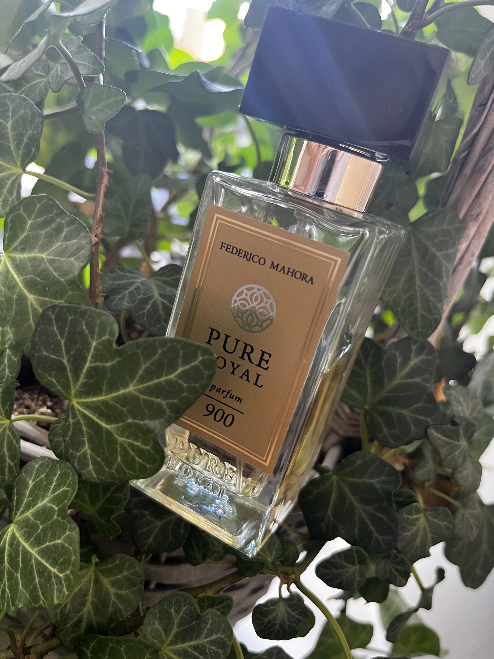 FM Fragrance List 2023 - Affordable Fragrances
